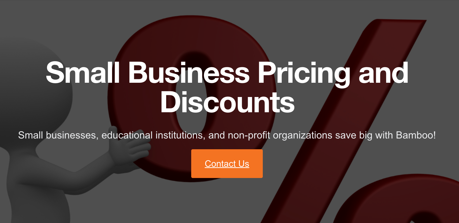 Small Business Pricing and Discounts | Bamboo Solutions