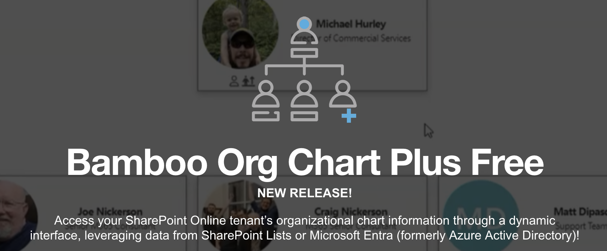 Org Chart Plus Free Sharepoint Online Organizational Structure
